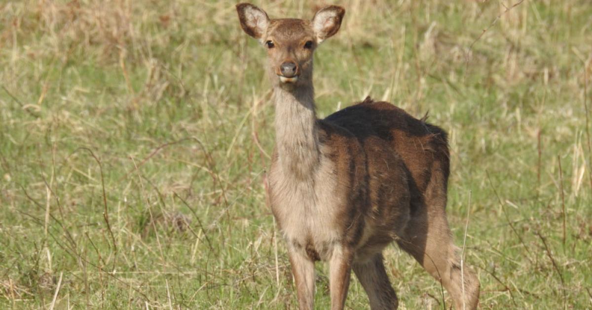 Ministerstva životního prostředí a zemědělství se shodla na způsobu ...